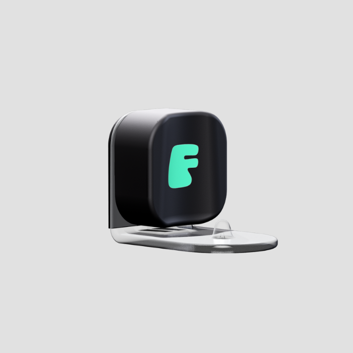 Magnetic Mirror Mount – Flaus